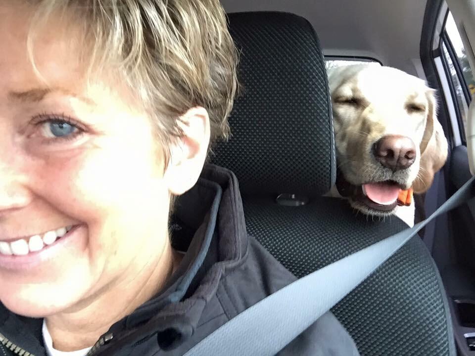 Volunteer With Us – i Heart Animal Rescue